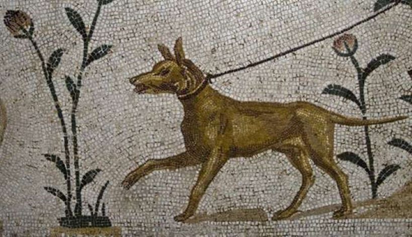 The Roman Family Pet | classicsforall.org.uk